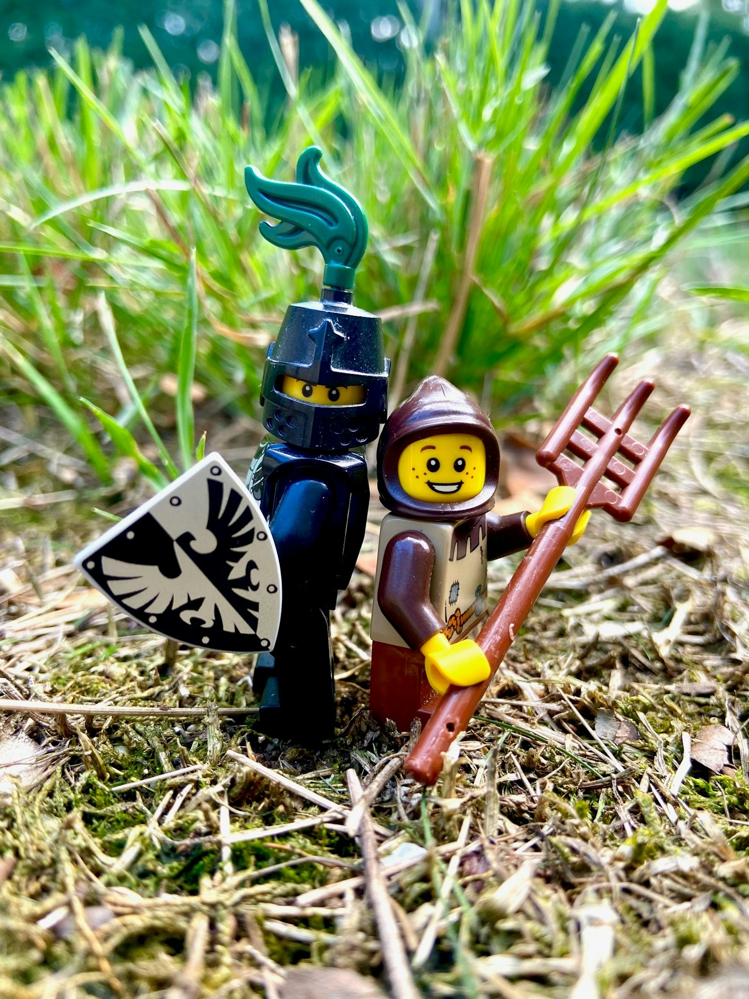 The Adventures of Stable Boy, a young King Arthur | LEGO® World Builder